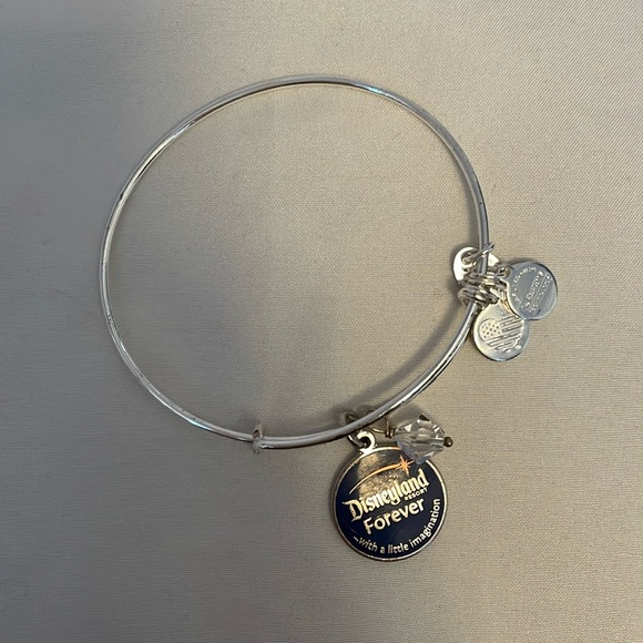 Alex and Ani | Jewelry | Disney X Alex And Ani Bracelet | Poshmark